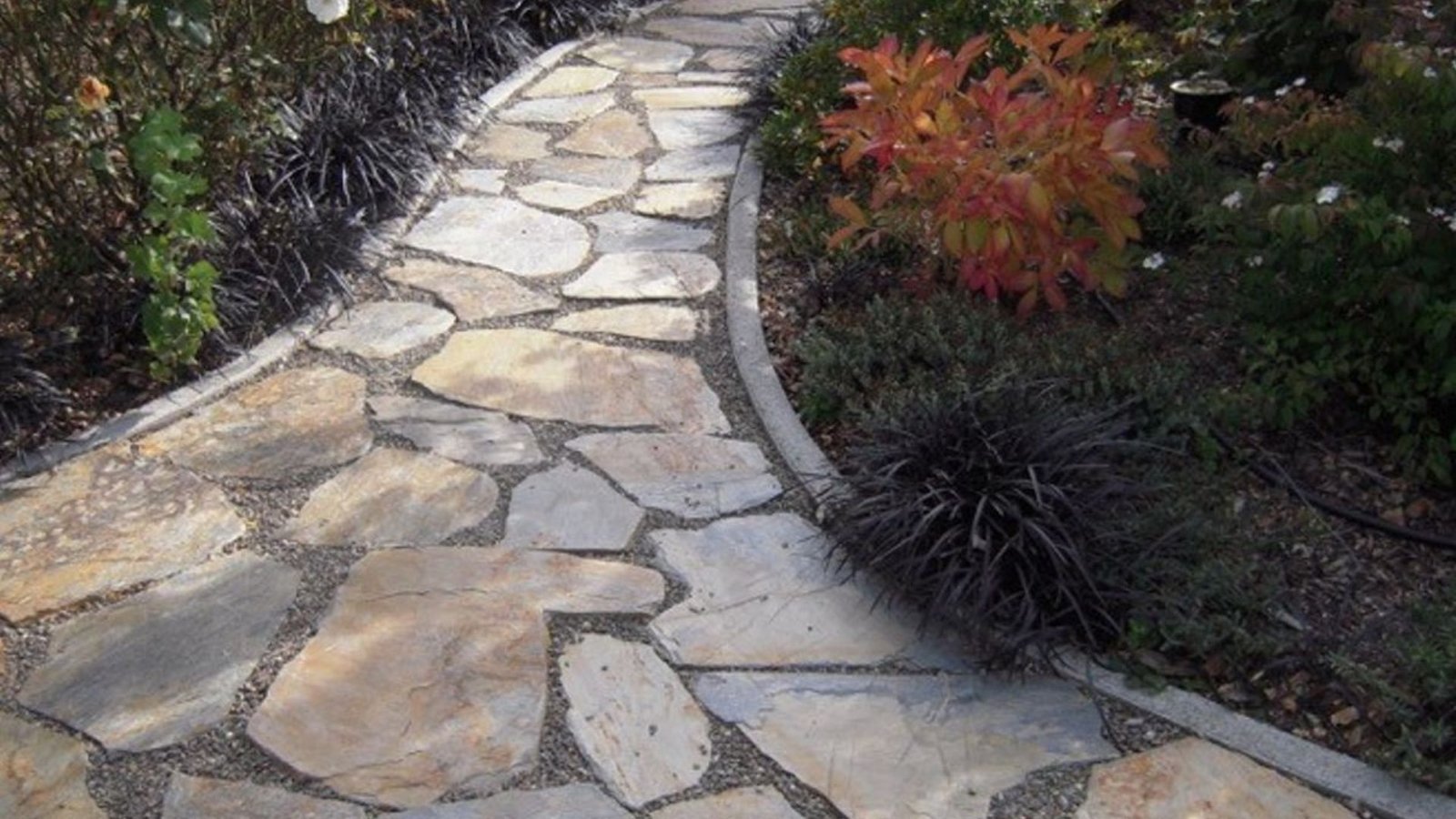 Paving Stones NZ: Types, Designs, And Buying Guide